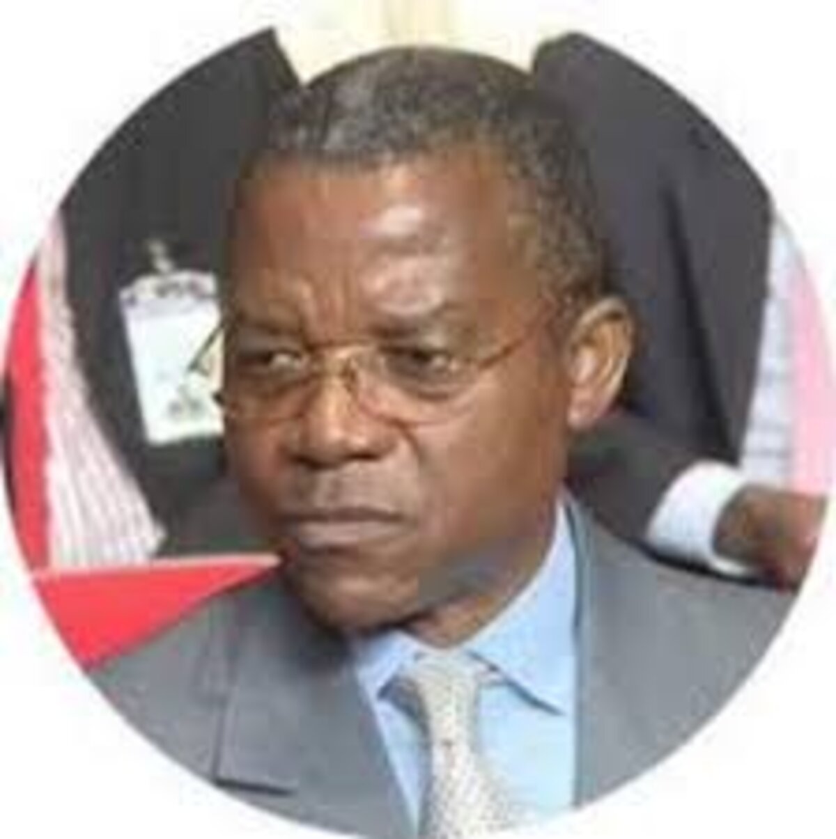 Le combat des coqs de Jean-Dominique Okemba et Ngatse Nianga Mbouala ...