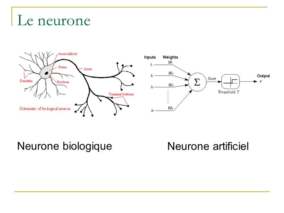 Intelligence artificielle : Comprendre le Deep et le Machine Learning ...