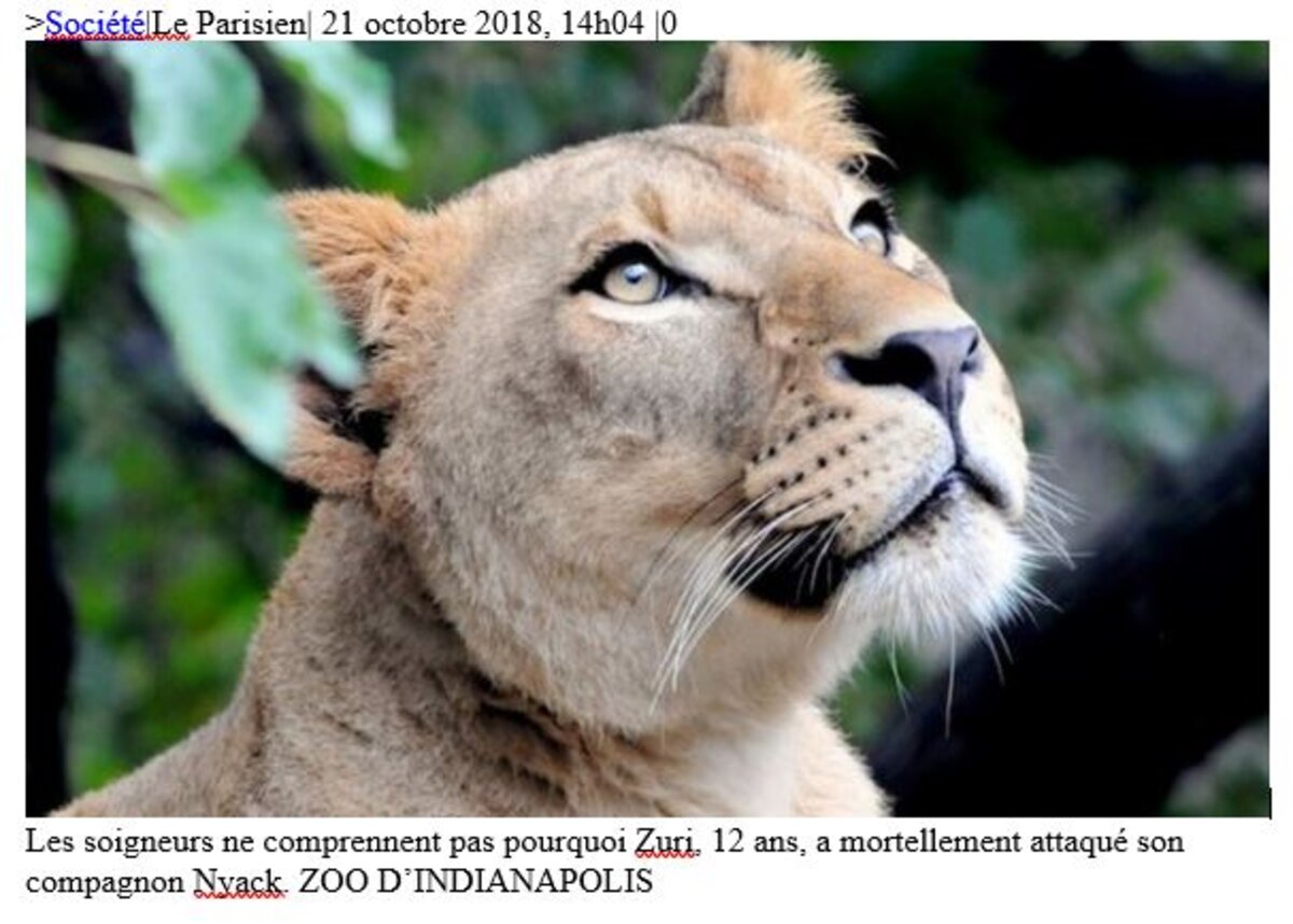 Humour. Même chez les animaux, ça bouge ! | Le Club