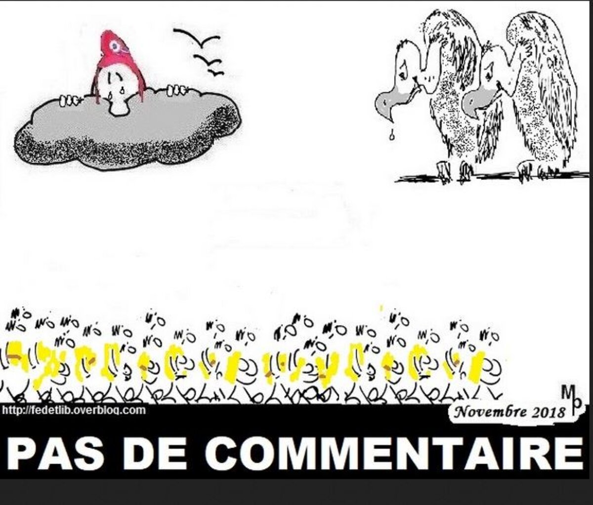 Humour. Formidable La discussion post-Hulot ! | Le Club