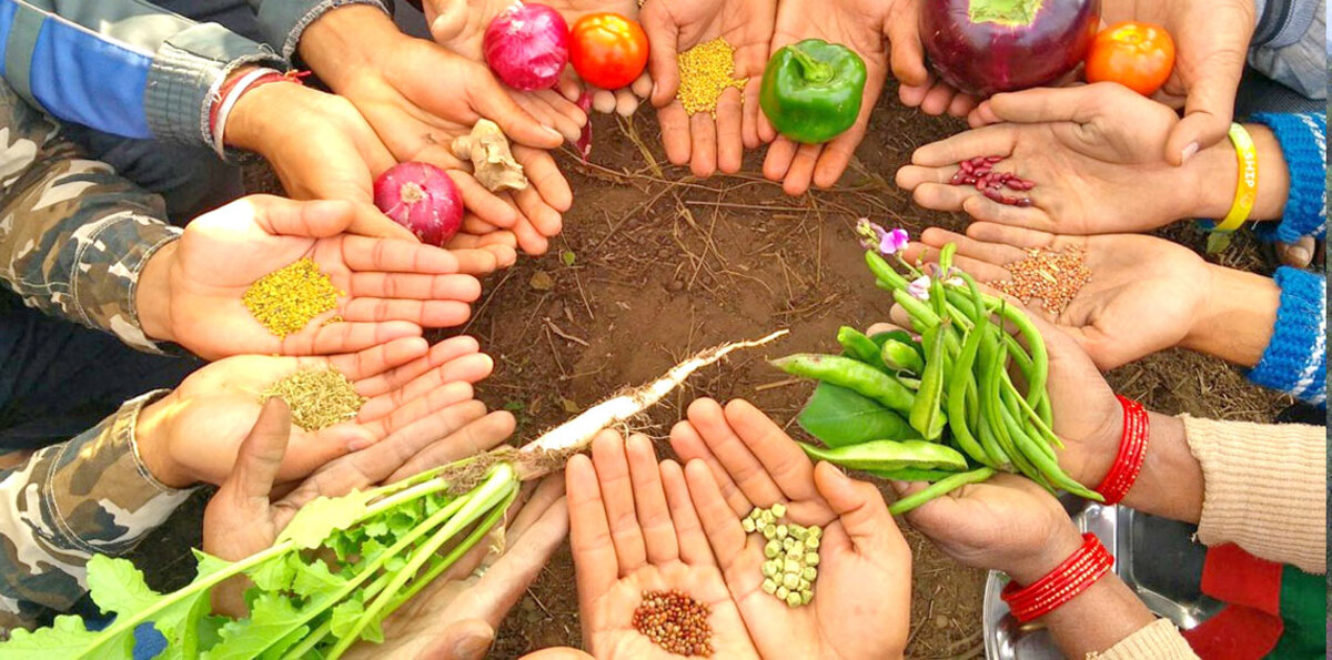 La folle histoire des semences... | Le Club