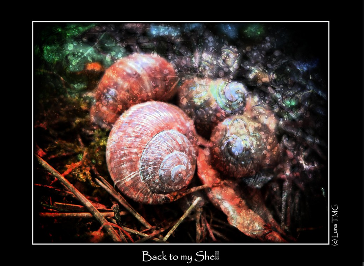 L'hétérogénéité de l'autisme compromet-elle le paradigme de la ...