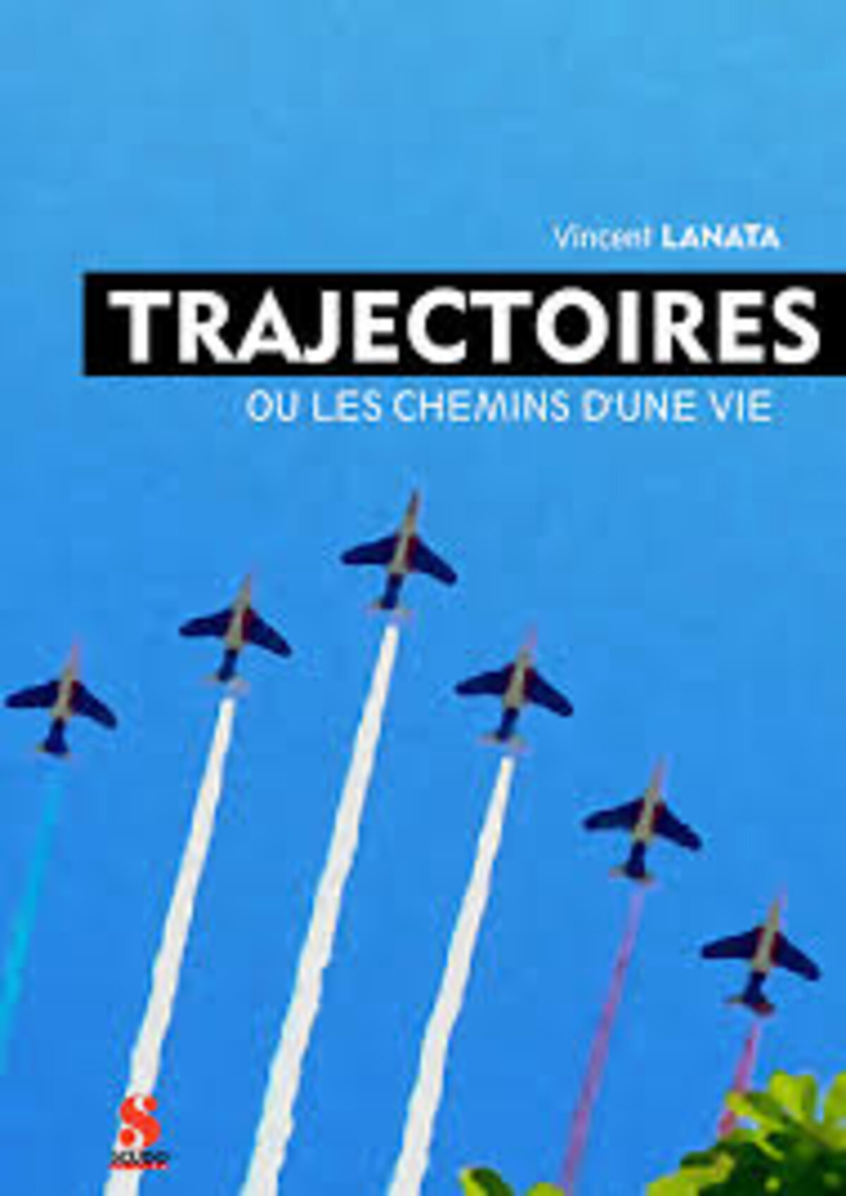 Vincent Lanata ex Chef d'Etat-Major Armée de l'Air: de l'aéronautique à ...