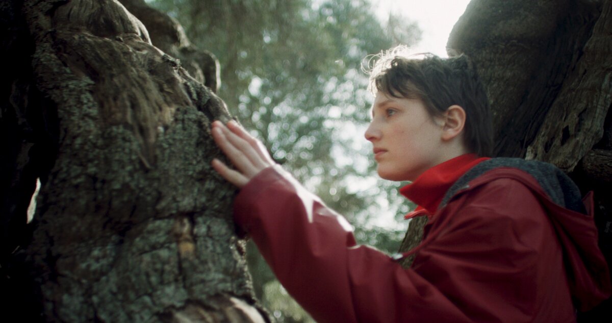 Cinemed 2020 : "Sème le vent" de Danilo Caputo | Le Club