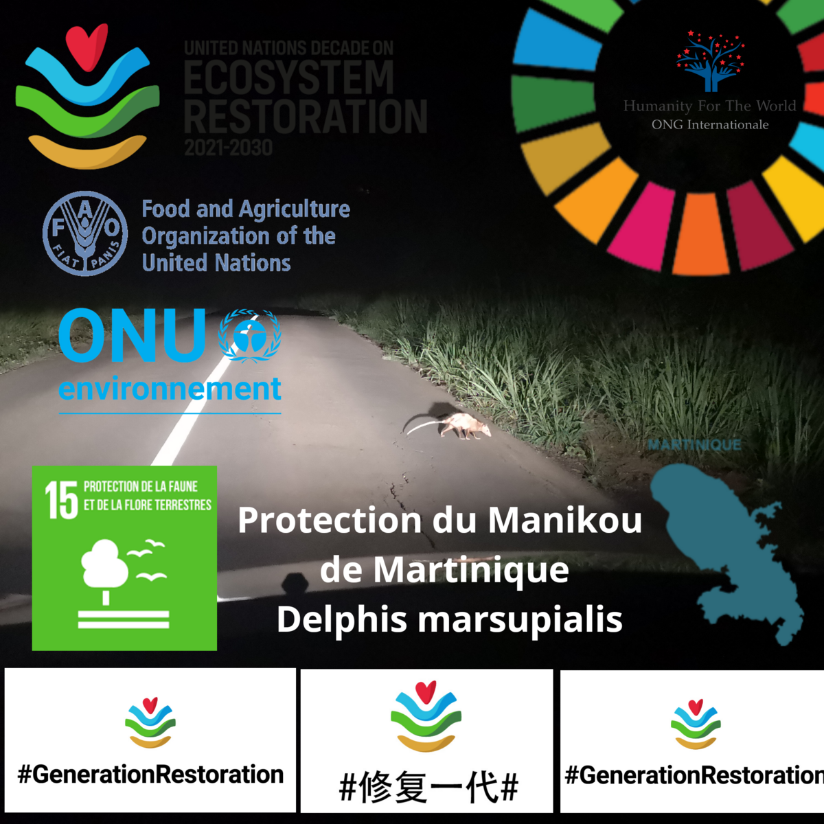 Sauver le Manikou de Martinique - Biodiversité menacée | Le Club