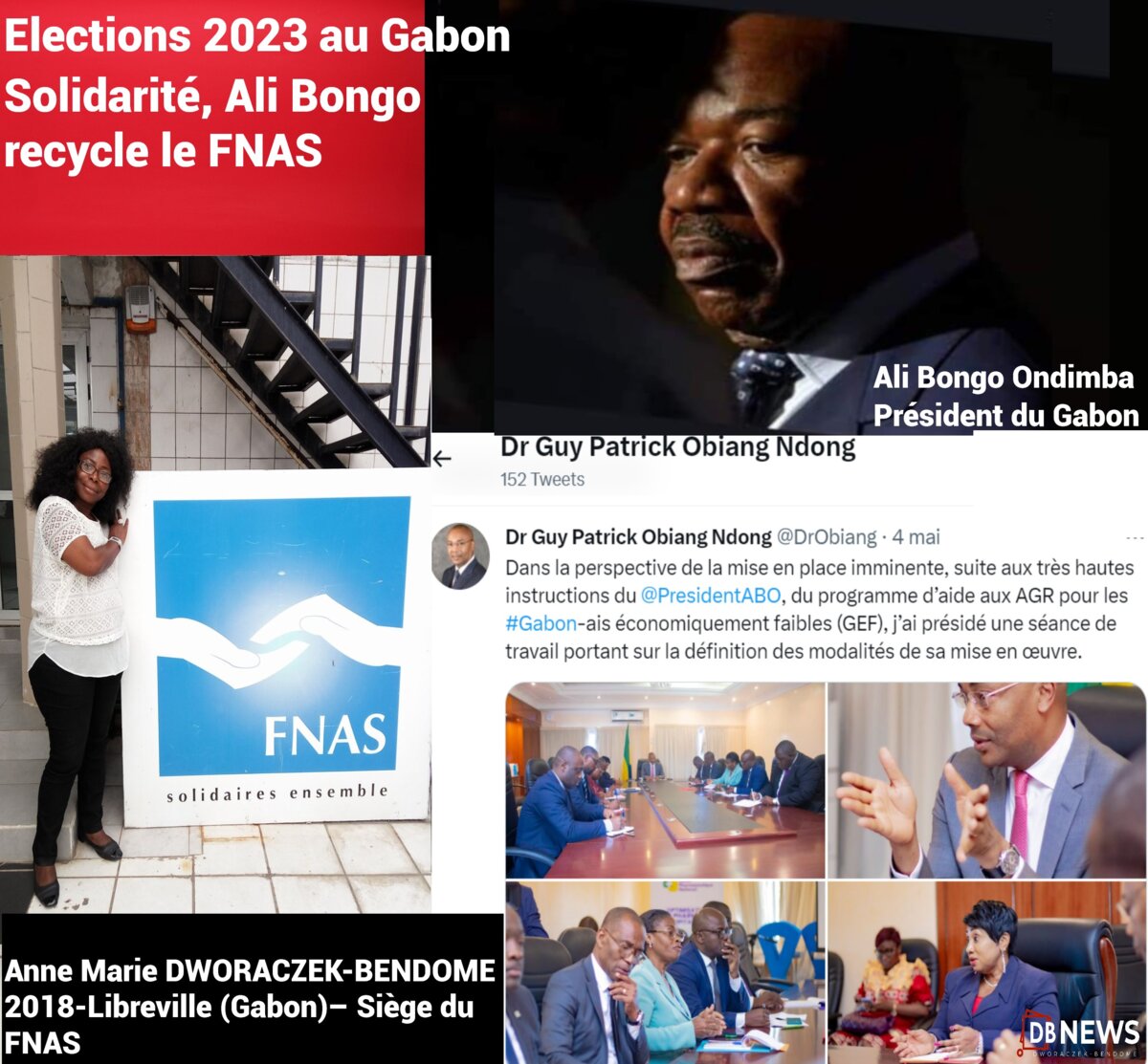 FNAS, Ali Bongo recycle un programme qu'il avait supprimé | Le Club