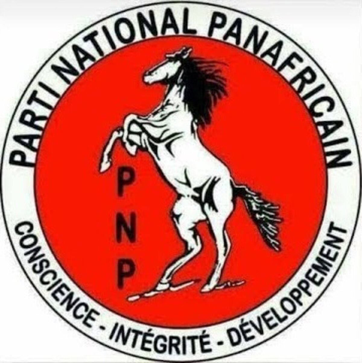 Togo – Coups d'Etat en Afrique le PNP invite la Cedeao a reconsidérer ...