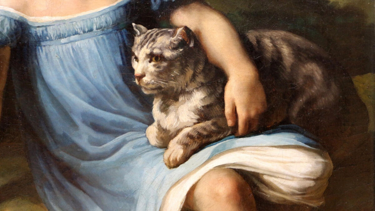 Mistigris fait le buzz. | Le Club