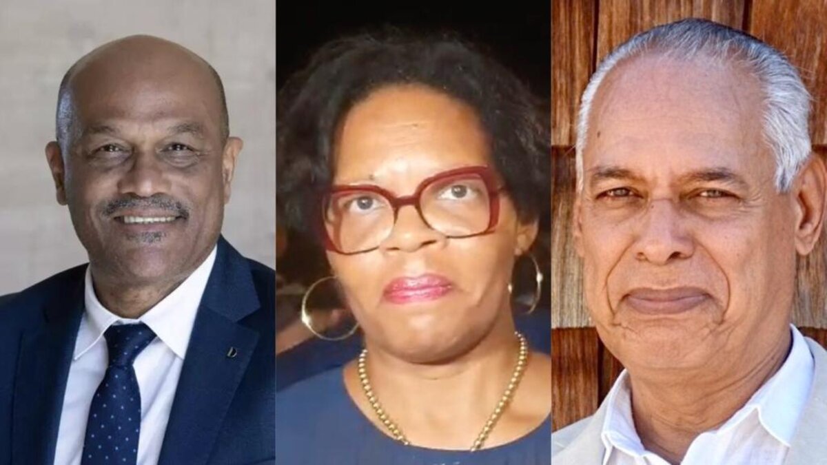 RECOURS SÉNATORIALES GUADELOUPE : UNE DÉCISION POLITIQUE VENUE DE ...