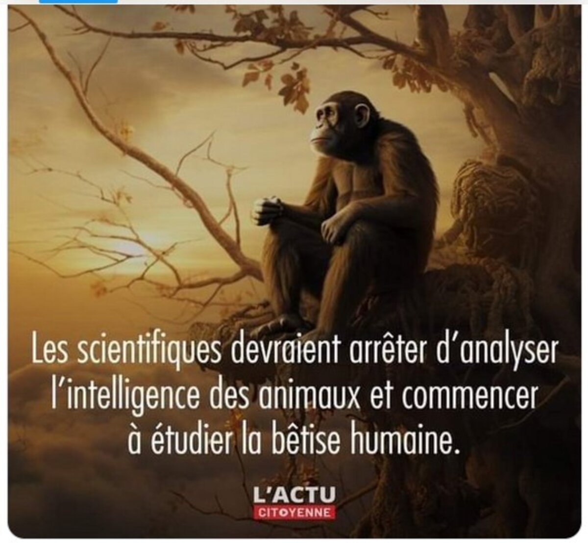 Humour de fin d'ère. La différence entre l'intelligence de X et les ...