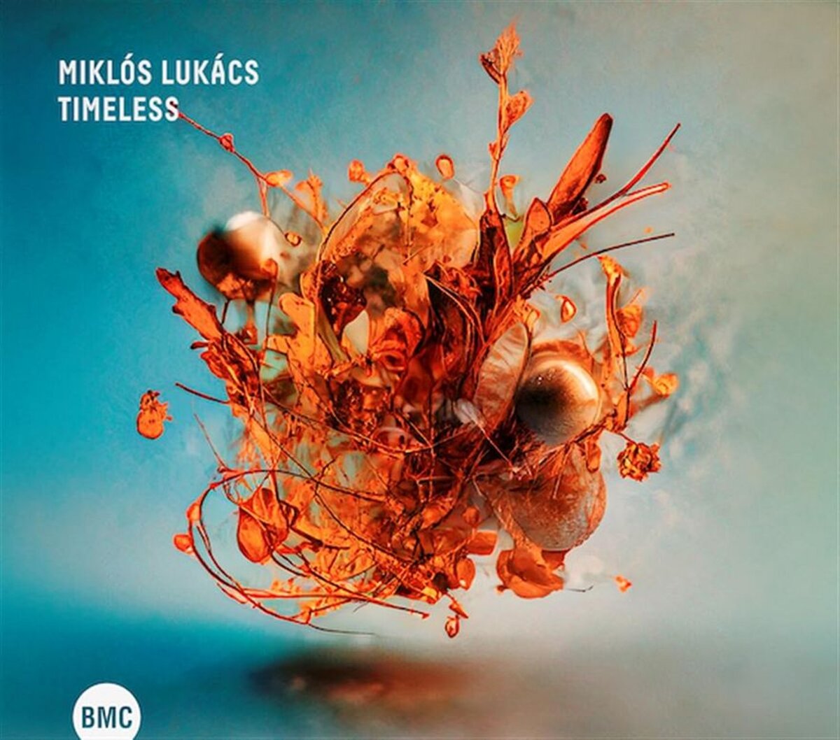 Le cymbalum de Miklós Lukács | Le Club