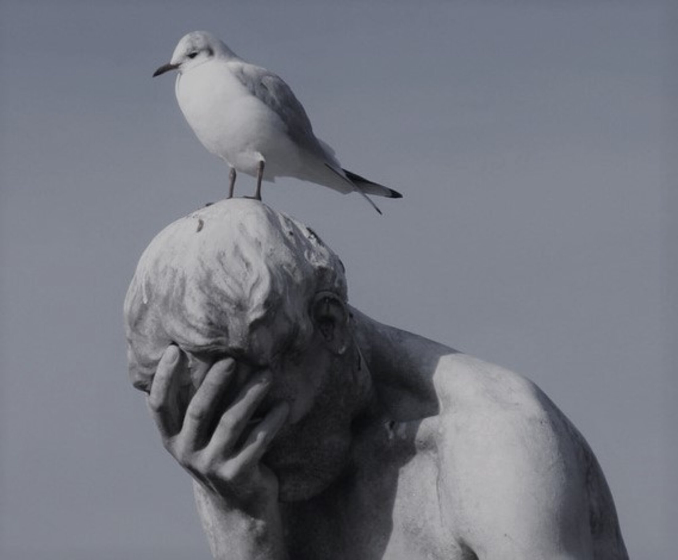 Même pas honte | Le Club