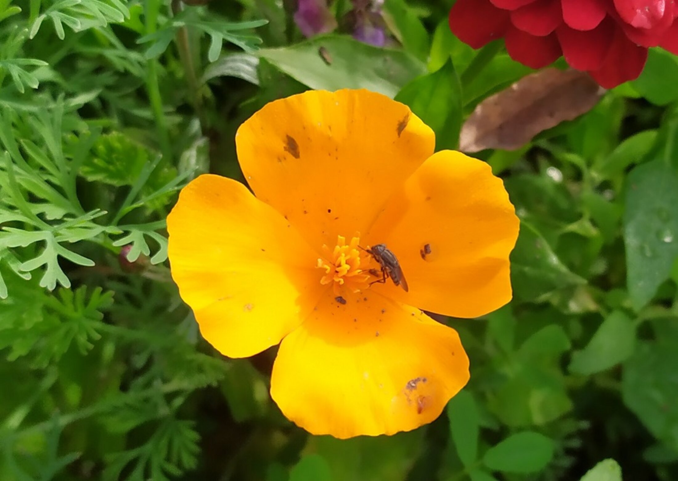 La condescendance, ce mépris bourgeois | Le Club