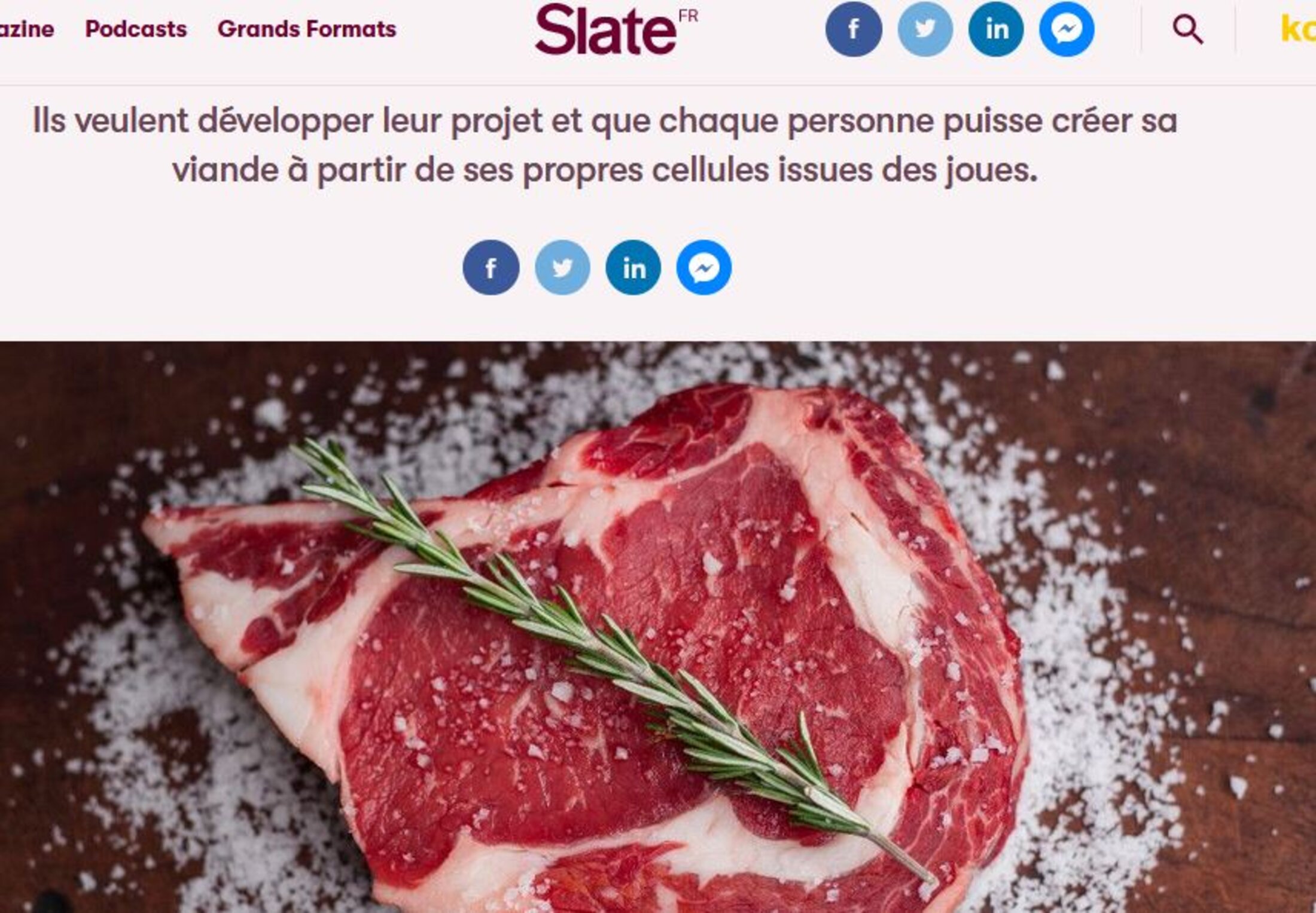 Humour. Sa propre viande ? ! Le 25 et le port d’arme permanent ...