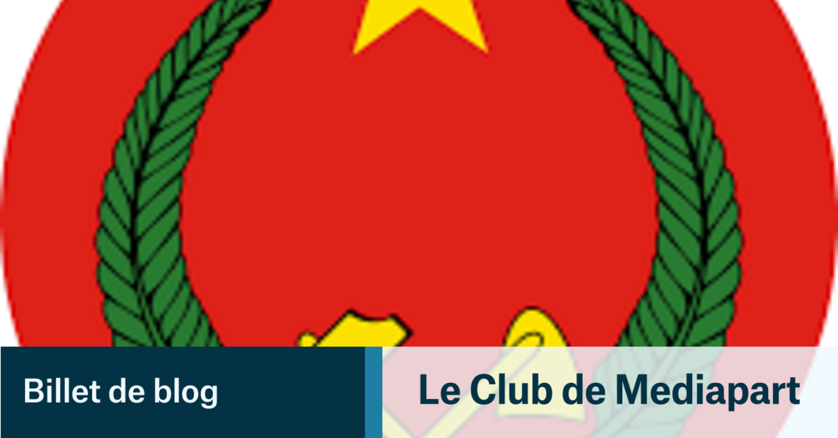 (Congo) Manoeuvre de diversion : Justifier le présent par le passé | Le ...