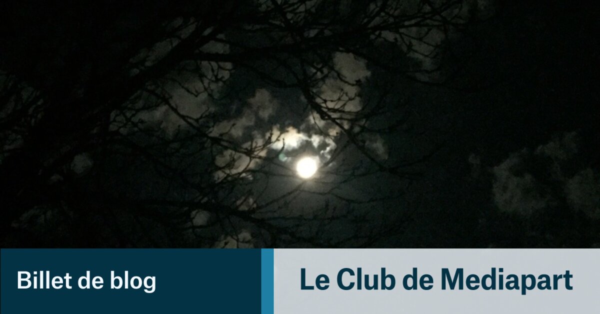 Ecoterrorisme: fantasme ou danger? | Le Club