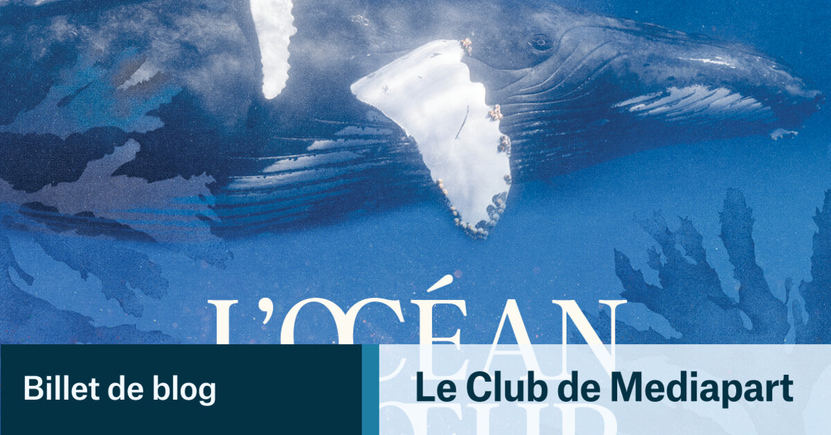 "L'Océan vu du cœur" de Marie-Dominique Michaud et Iolande Cadrin ...