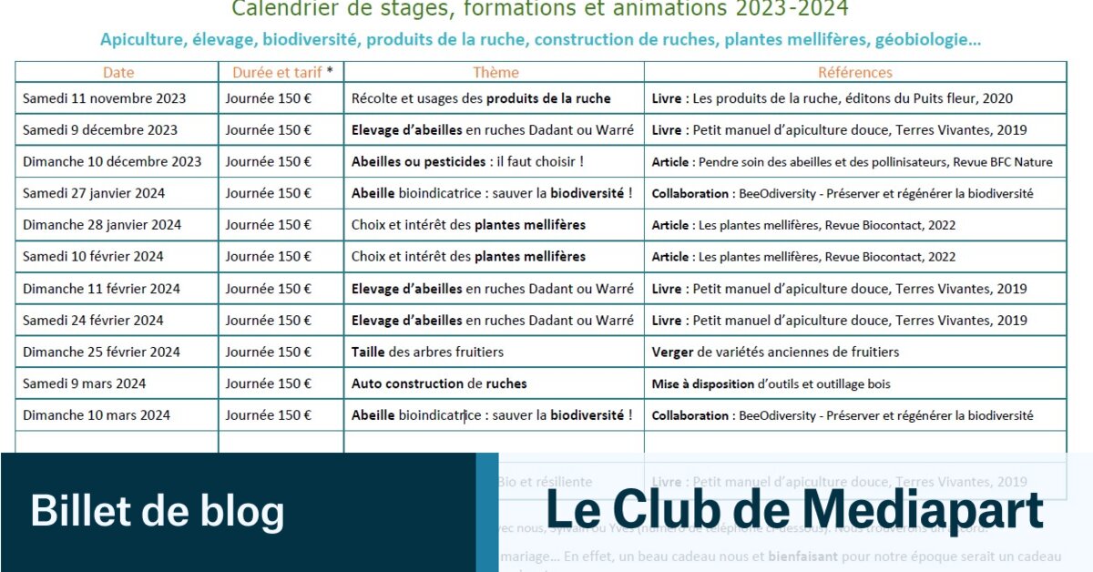 Stages, formations et animations 2023-2024 | Le Club