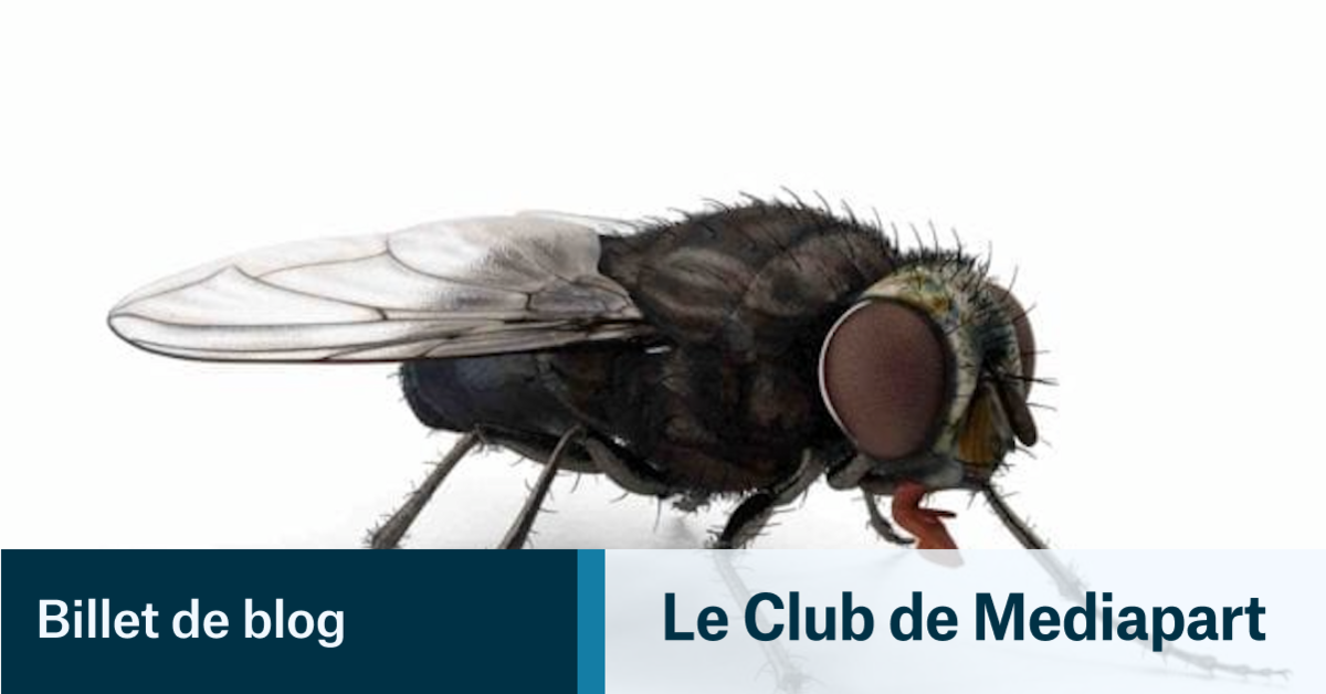 Et surtout, n'oubliez pas les petits | Le Club