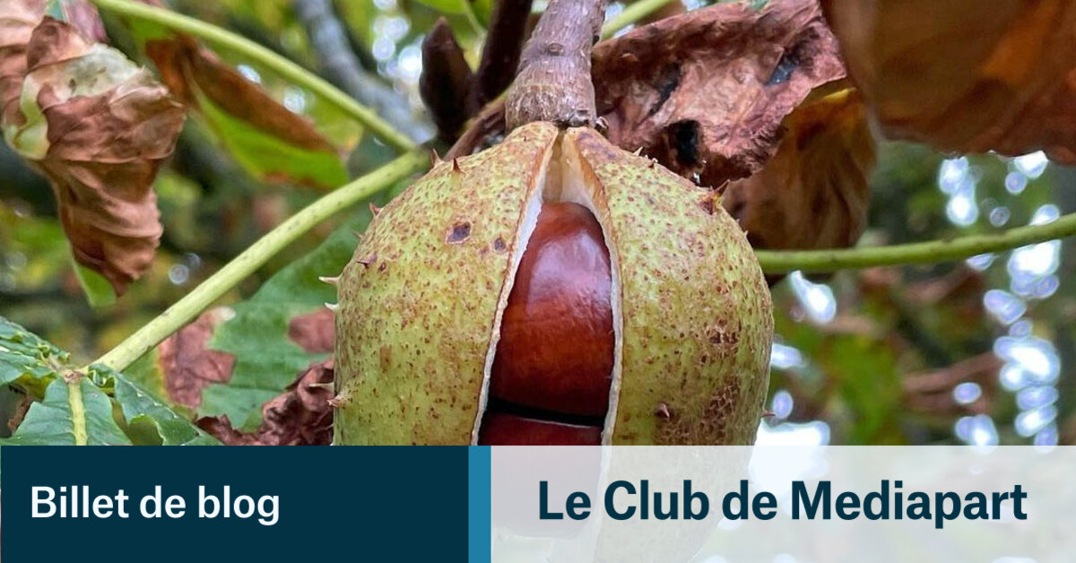 Pauvre de lui. | Le Club