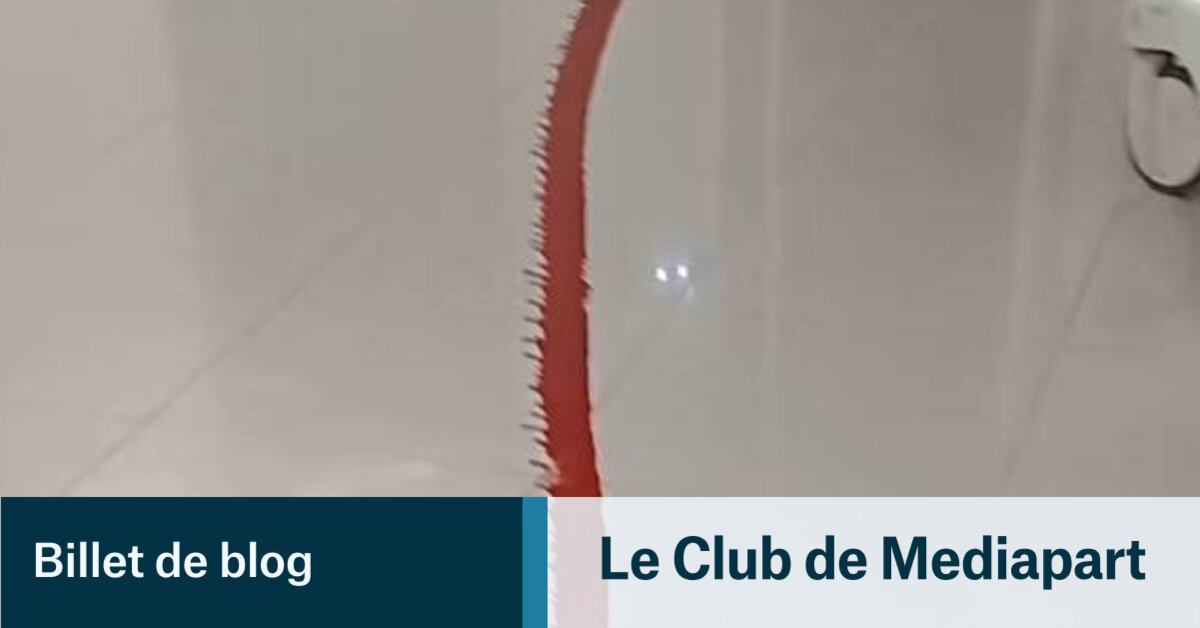 Iran : la guerre des pixels — quand l’image devient la dernière preuve ...