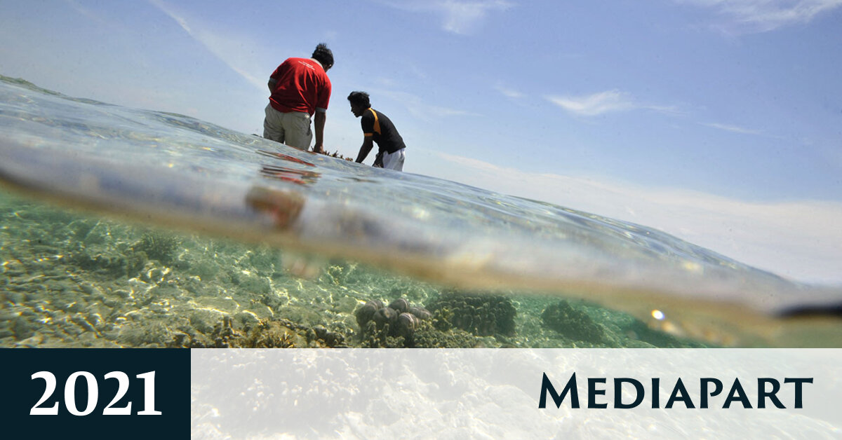 Un congrès mondial de la nature tout en contradictions | Mediapart