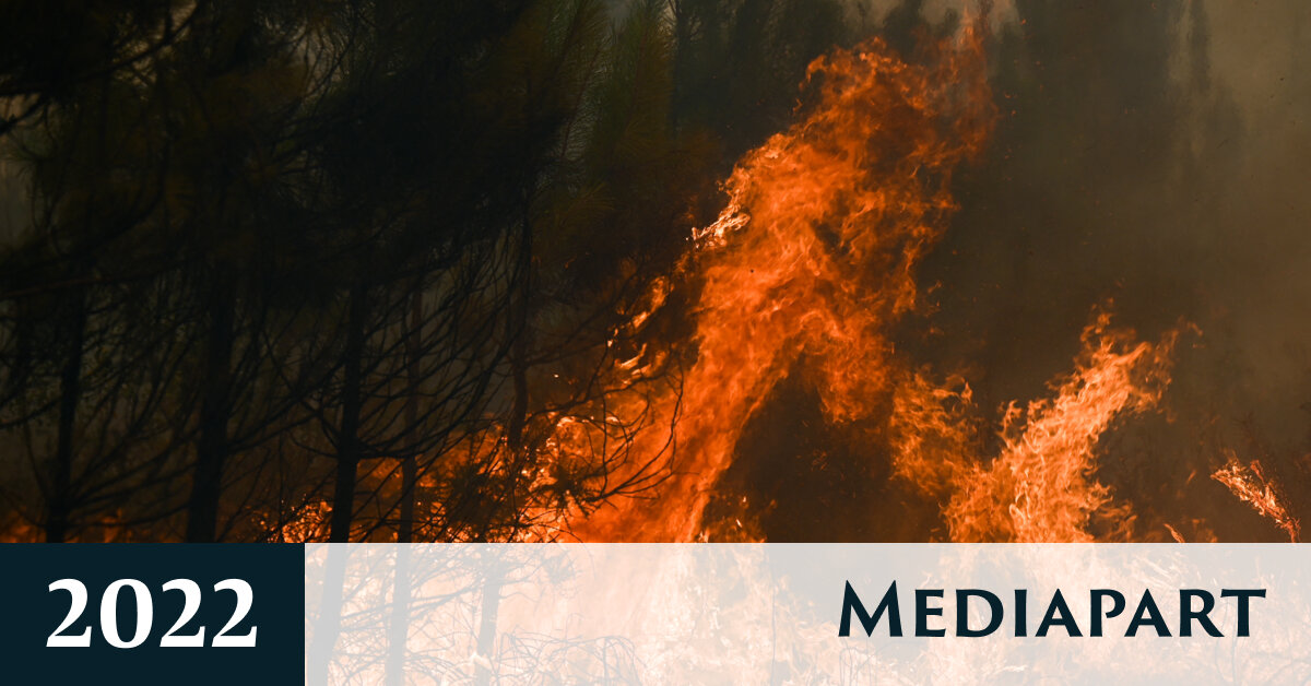 Feux en France : « De plus en plus de zones touchées au nord et en ...