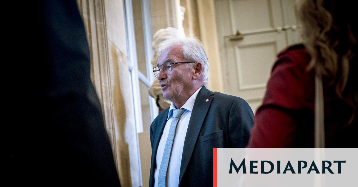 Le député Daniel Grenon (ex-RN) condamné pour des propos racistes ...