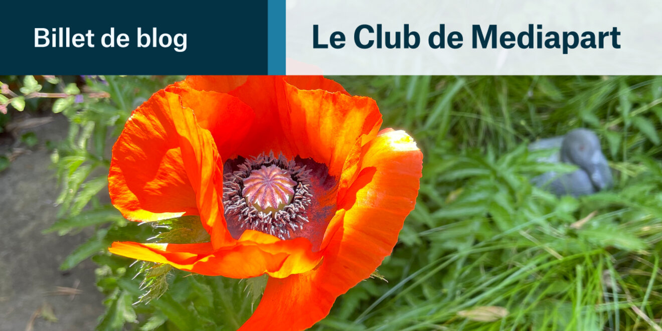 Moite avec Violaine Lochu et Tatiana Paris | Le Club