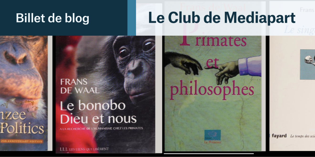 La politique et le singe | Le Club