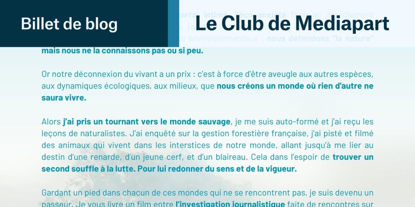 Le VIVANT qui se Défend - Dossier de presse | Le Club