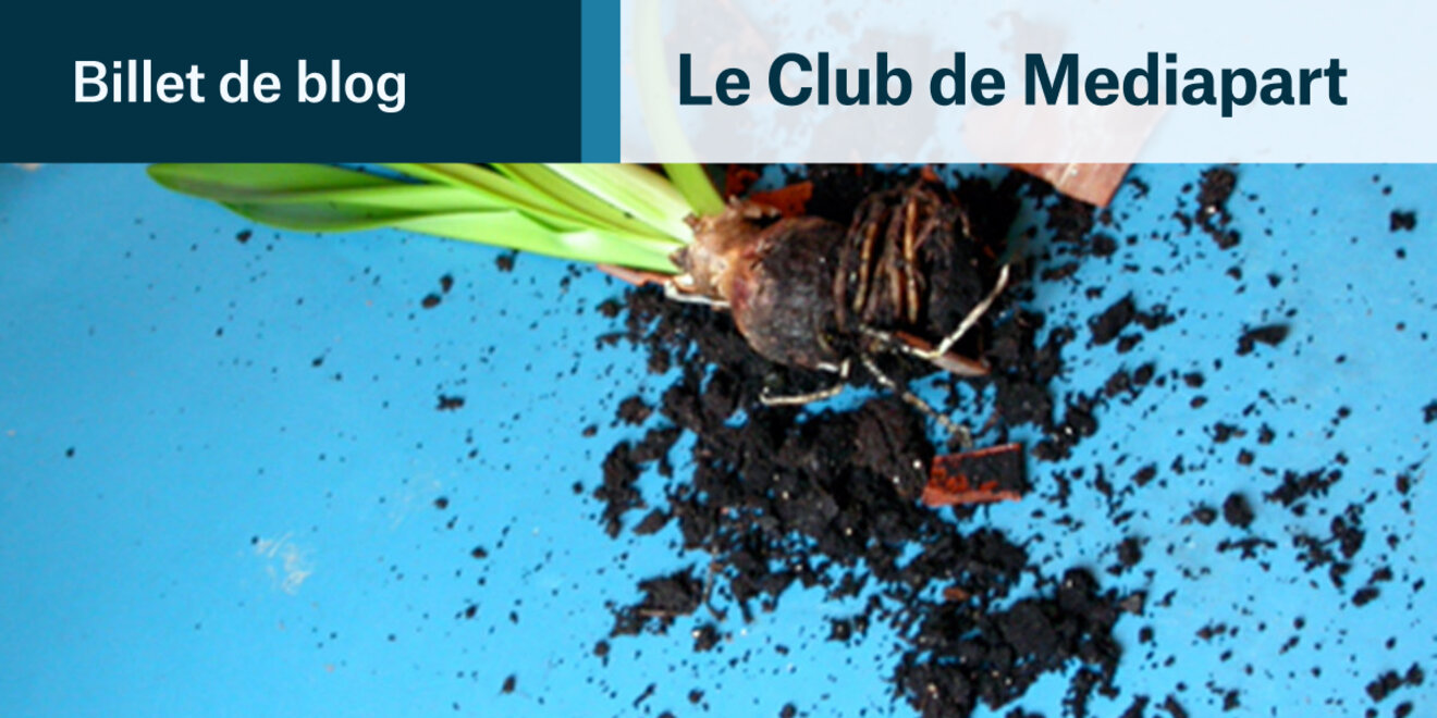 GRRR Animé (2013) | Le Club