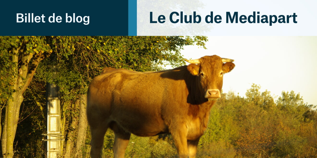 Une convergence toxique des luttes | Le Club