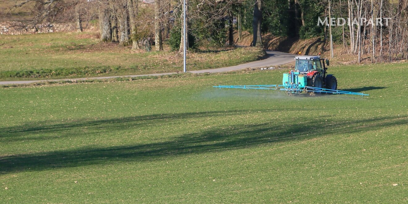 Pesticides interdits : prison ferme requise contre le maraîcher Didier ...