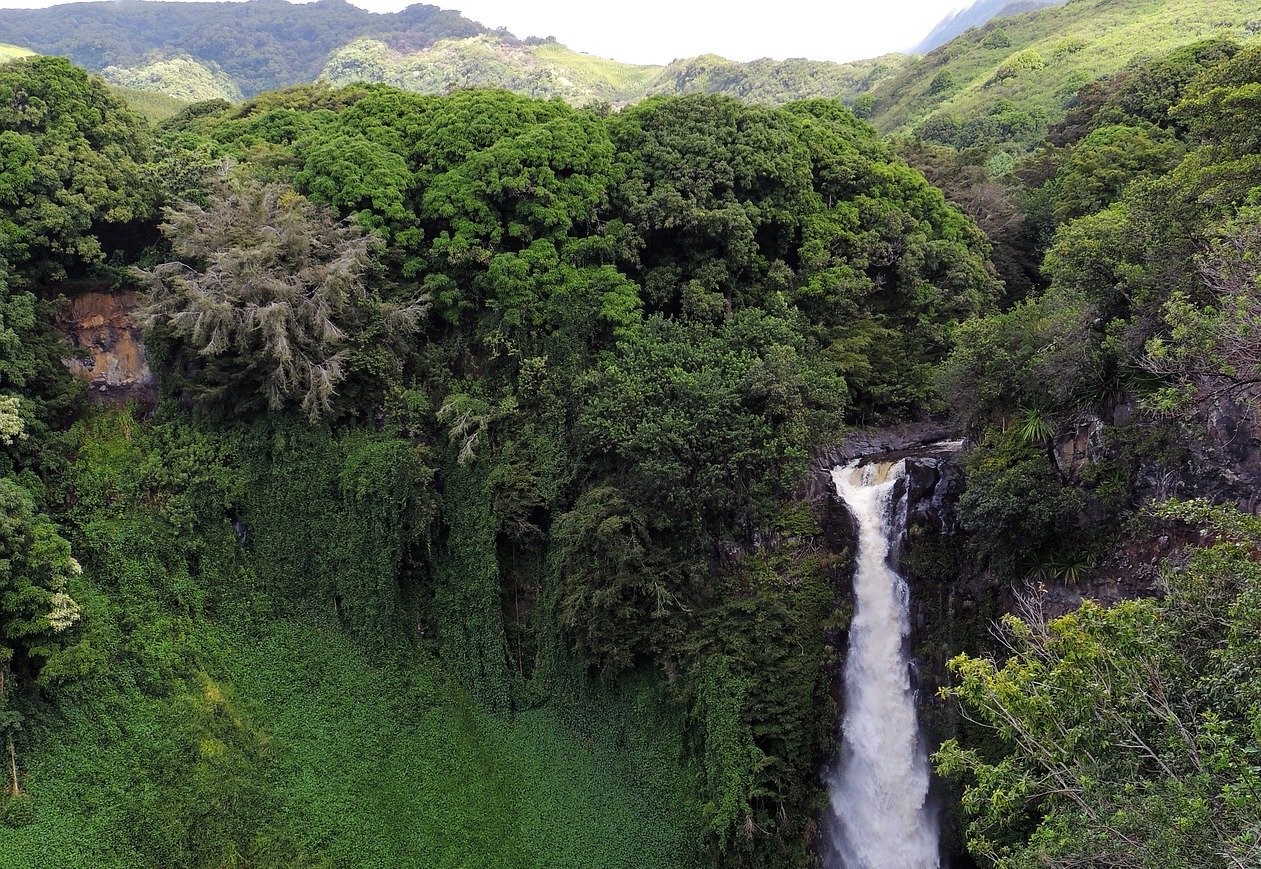 A la découverte des attractions touristiques au Congo | Le Club