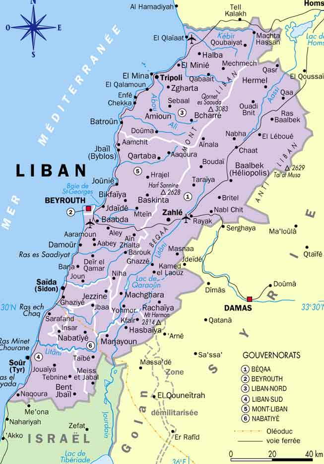 Les djihadistes de l'Etat islamique sont de plus en plus populaires au ...